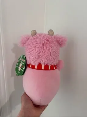 Squishmallows | Toys | Squishmallows Brina Winter Hugmees Plush Nwt ...